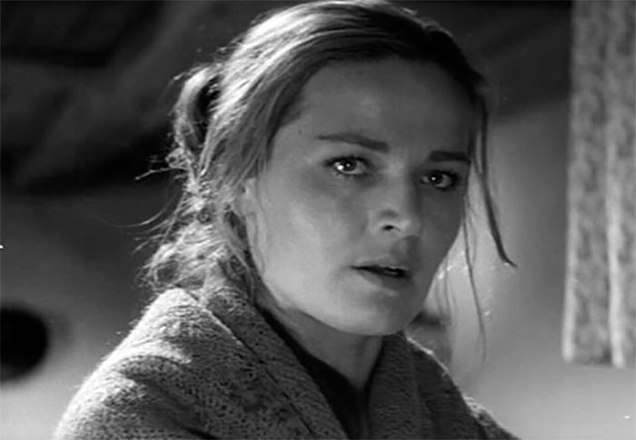 Фильм «Журавушка» (1968) - сюжет, актеры и роли, кадры из фильма